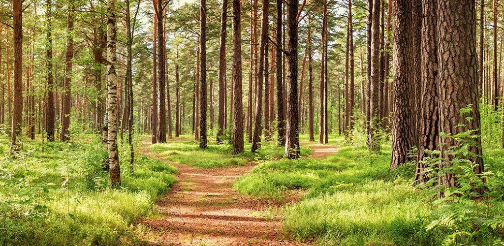 The Importance of Proper Planning for a Physically Ill Spouse or Loved ...